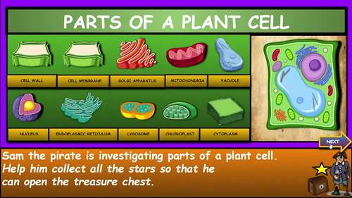 Interactive Plant Cell: Interactive Google Slides + PPT + Worksheet