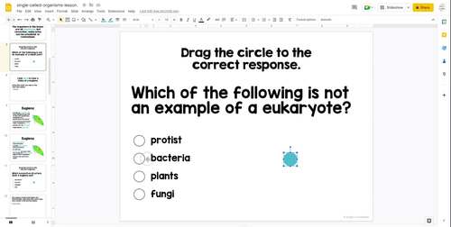 Single-Celled Organisms Interactive Lesson | TPT