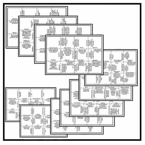 Life Cycles Plants Flowers Vocabulary Activity BUNDLE Life Science Activity