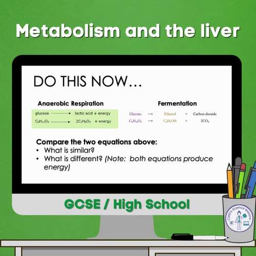 Metabolism and the liver (GCSE) by CMGs Science lessons | TPT
