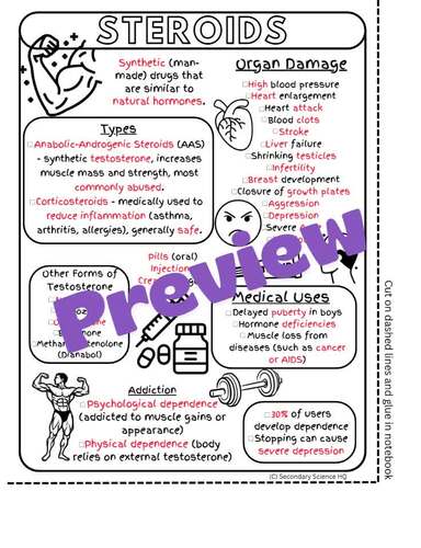 Steroid Doodle Notes | Health | FACS by Secondary Science HQ | TPT