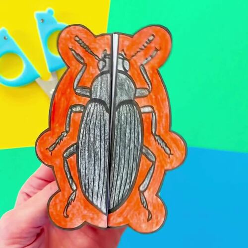 Mealworm darkling beetle life cycle sequence and fold science craft ...