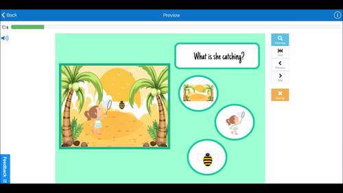 Answering WHAT Questions Visual Information Boom Cards™ by Mau SLP