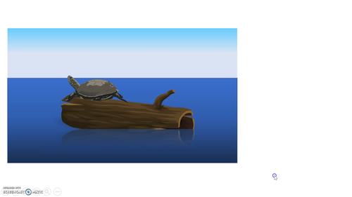 Ecosystems and Biomes Animated PowerPoint and Guided Notes | TPT