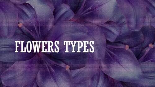 Flower Types Lecture 8 PowerPoint by Quick Science Stuff | TPT