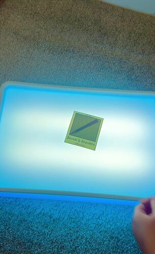 Reveal & Regulate Sensory Tools Cards | OT & Classroom Supports for ...