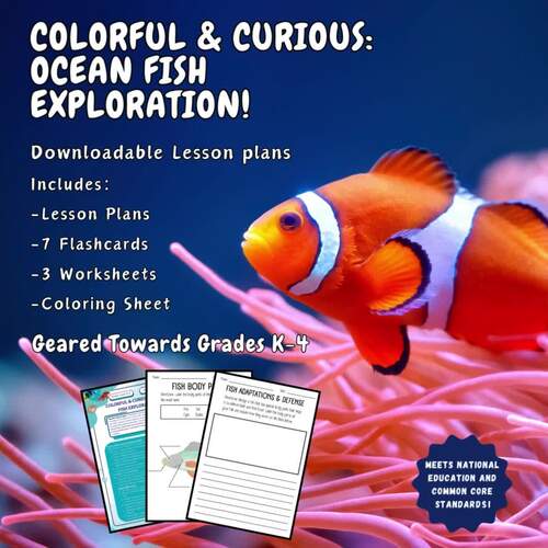 Colorful & Curious – Ocean Fish Exploration! Grades K-4 by ...