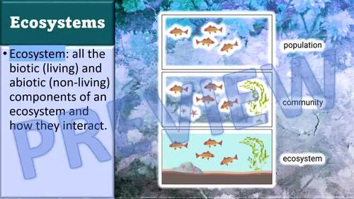 AP Environmental (APES) Introduction to Ecosystems Lesson Plan BUNDLE!