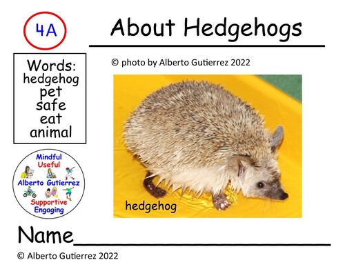 Read Aloud Video About Hedgehogs #4A by ALBERTO GUTIERREZ | TPT