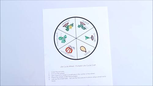 Pumpkin Life Cycle Craft by Stephanie Trapp | TPT