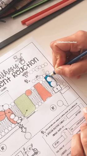 Photosynthesis Light Dependent Reaction Guided Video Notes Visual Notes