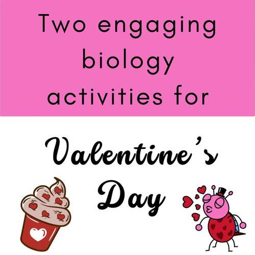 Valentine's Day Biology Bundle Protein Synthesis Genetics Activities ...