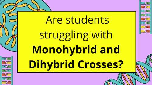 Genetics Punnett square practice Principles taught in Biomedical Science