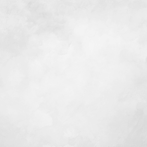 Flying Fox in Plane Transparent PNG Clipart by DonDaniDoodles | TPT