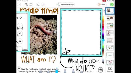 Worms Digital Activities, Earthworms research project, Worm Life Cycle ...