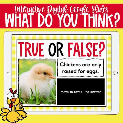 Chickens True or False Nonfiction Interactive Google Slides Activity