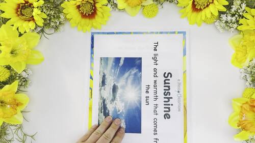 The Sun Space Diversified Nonfiction Lesson Text Features Scavenger ...