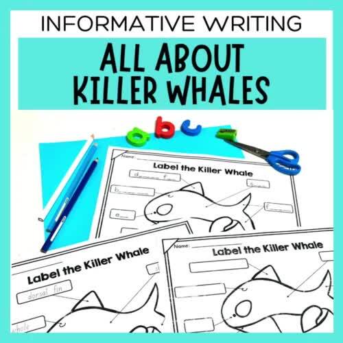 All About Killer Whales | Orca Research Worksheets | Nonfiction Writing ...