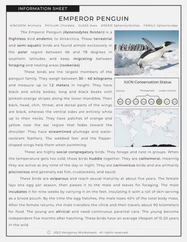 EMPEROR PENGUIN - Information Sheet - Reading Comprehension & Worksheets