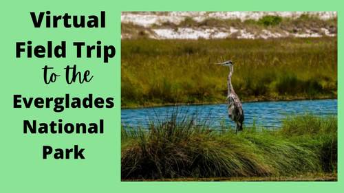 Everglades National Park Virtual Tour for grades 7,8 in MS Word by JayZee