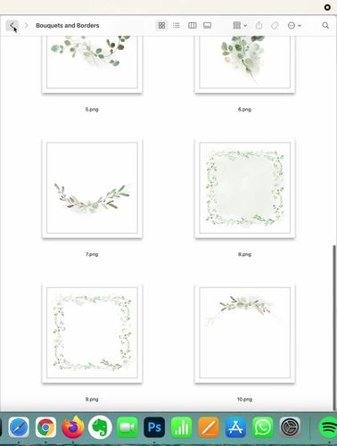 Eucalyptus Clipart Wreath Frame Greenery Foliage Leaves Branches ...