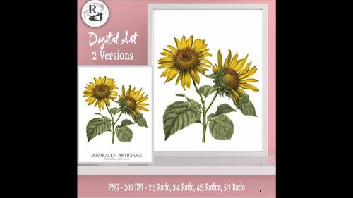 Vintage Style Wildflower Botanical Illustration Print, Botanical ...