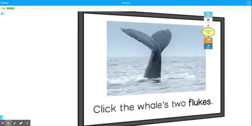 ⭐️1/2 off for 48 hours!⭐️ Whales Vocabulary Boom Cards (Digital Task Cards)