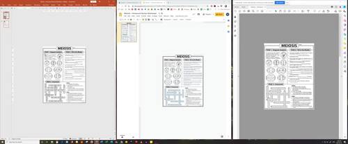 Meiosis Homework Review Worksheet / Test Prep (Google Slide, PDF & PPT)