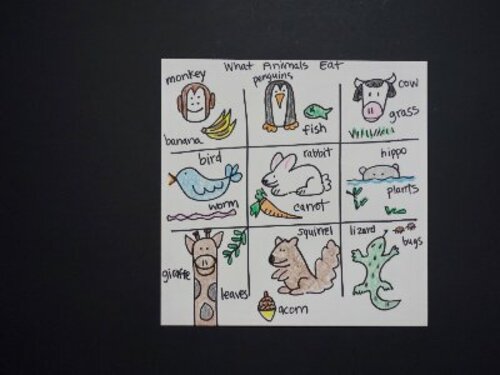 Let's Draw What Animals Eat! by Patty Fernandez Artist | TPT