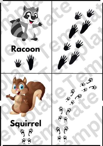 Wild Animal Tracks and Pictures for Early Years Students- 28 Animals ...