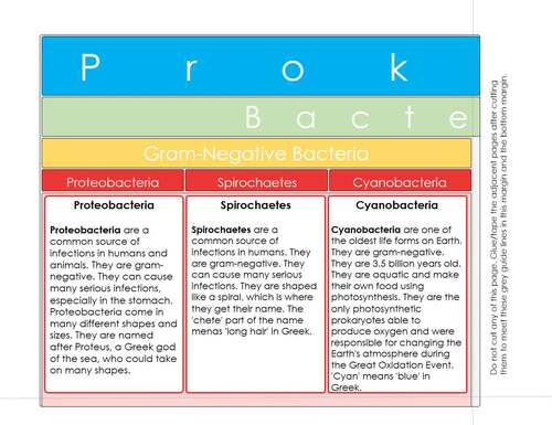 Prokaryotes Chart with Cards Domain of Life Bacteria Archaea Montessori