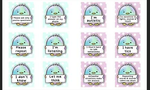 48+48 Autism Communication Cards | AAC Lanyard Visuals, Self-Regulation ...
