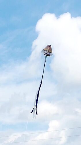 Hawk Kite from Brazil and Japan - DIY Stem/Steam by WOW - World of Wonders