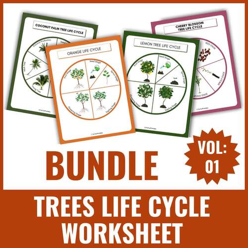 Tree Life Cycle Bundle Vol 01: Date Palm, Coconut, Cherry Blossom ...