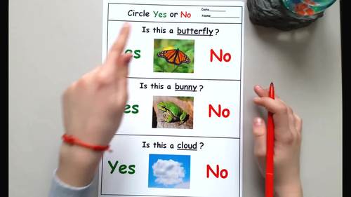 Yes No Questions Spring Activity for Speech Therapy by Angie S | TpT
