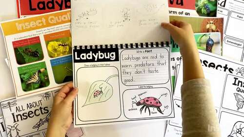 Insects Animal Classification Unit - Science and Writing - Kindergarten ...