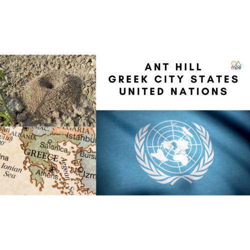 Ant Hill / Greek City States / United Nations Video Tutorial | TPT