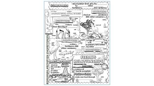 Producers, Consumers, & Decomposers Doodle Notes & Quiz + PowerPoint
