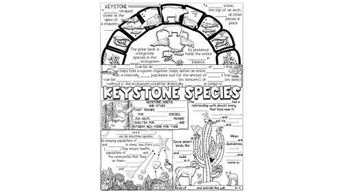 Keystone Species Doodle Notes & Quiz | Ecological Roles & Biodiversity