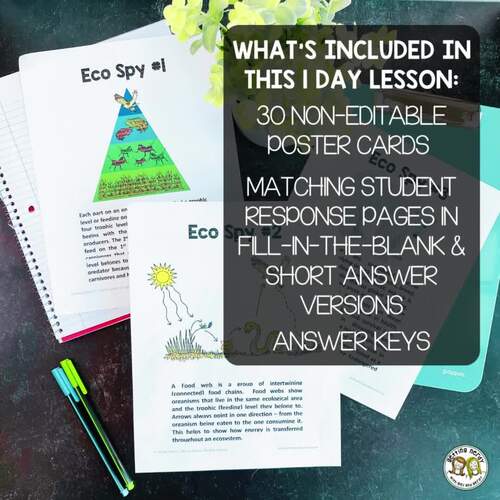 Ecology | Ecosystems Scavenger Hunt Cards | Ecosystem & Ecology Review Game