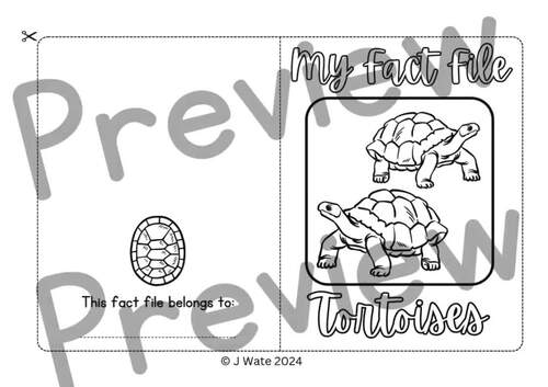 Animal Research Project | Animal Habitats | Reptiles & Tortoises Worksheets