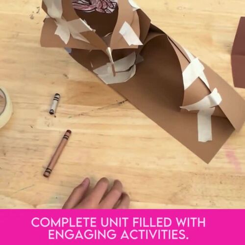 Regions of Georgia and Georgia Habitats Activities by Engaging Roots