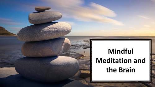 Mindful Meditation and the Brain MP4 by The Common Core and More