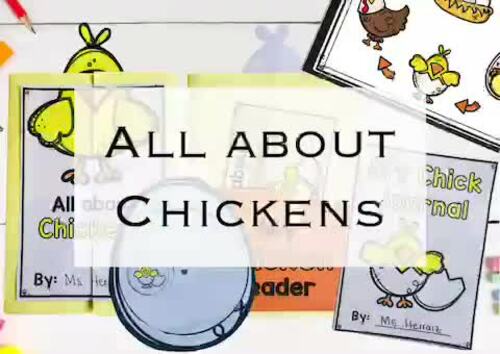 All about Chickens Activities | Chick Life Cycle Craft and Readers