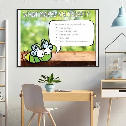 All About Insects | Parts of an Insect | 1st & 2nd Grade Science Lesson ...