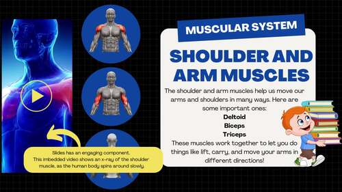 Muscular System Made Fun! Editable Interactive Lesson + Printable Quiz