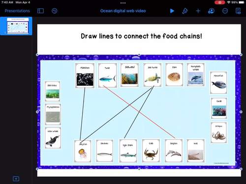 Ocean INTERACTIVE BUILD A FOOD WEB ACTIVITY Digital or Printable