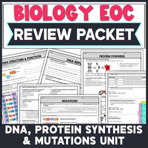 Biology EOC Review: DNA Structure & Replication | Protein Synthesis ...