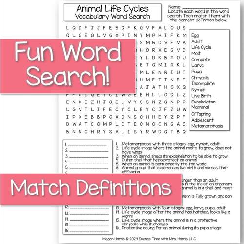 Animal Life Cycle (Metamorphosis) Vocabulary Word Search Review (Print ...
