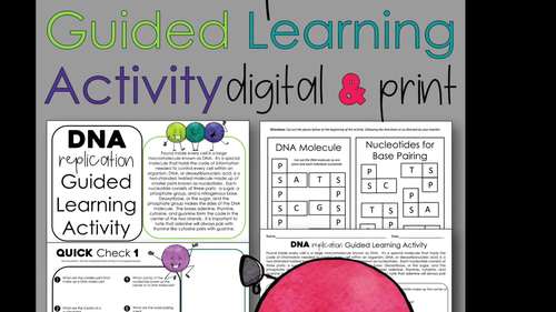 DNA Replication Guided Learning Activity in Print and Digital for Notes